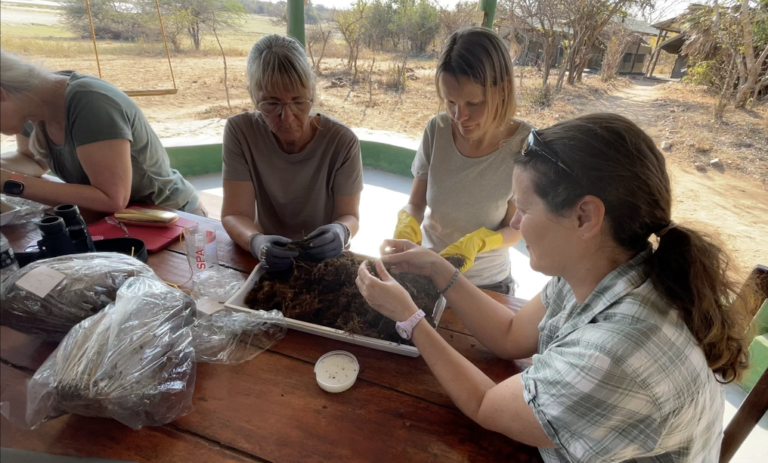 Explore the Wild Side of Malawi with Biosphere Expeditions - Author ...