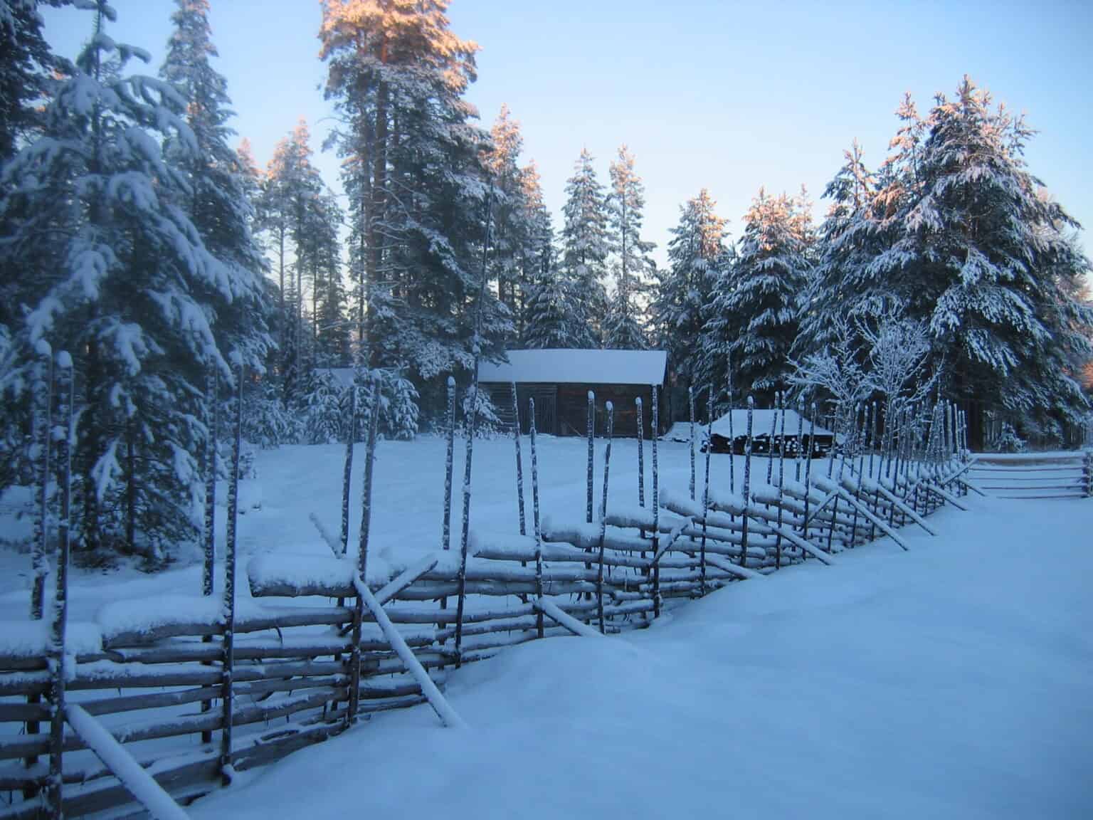 ancient hunting fences Norway - Idyllic Pursuit